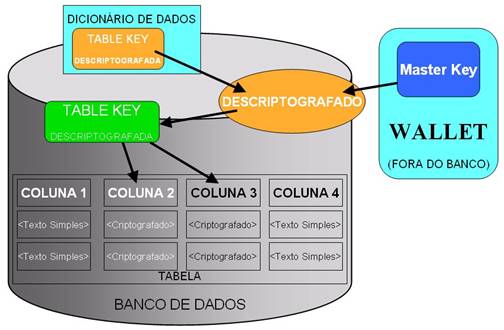 Artigo SQL Magazine 57 - Oracle TDE - Transparent Data Encryption ...